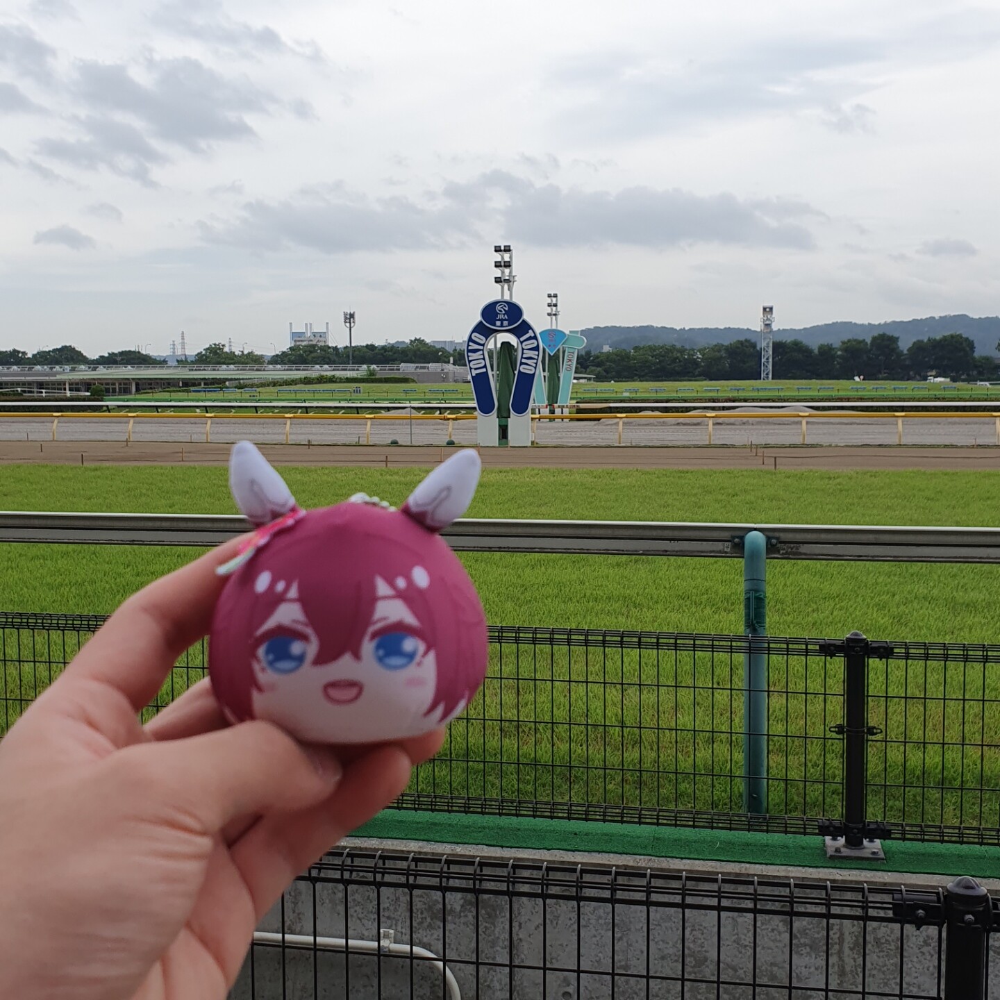 푸른피리 (@greenpiri6@ani.work) - Aniwork Network